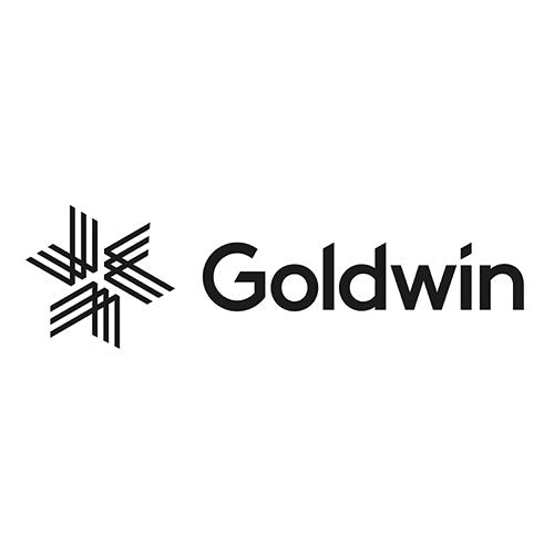 GOLDWIN – PORTAL